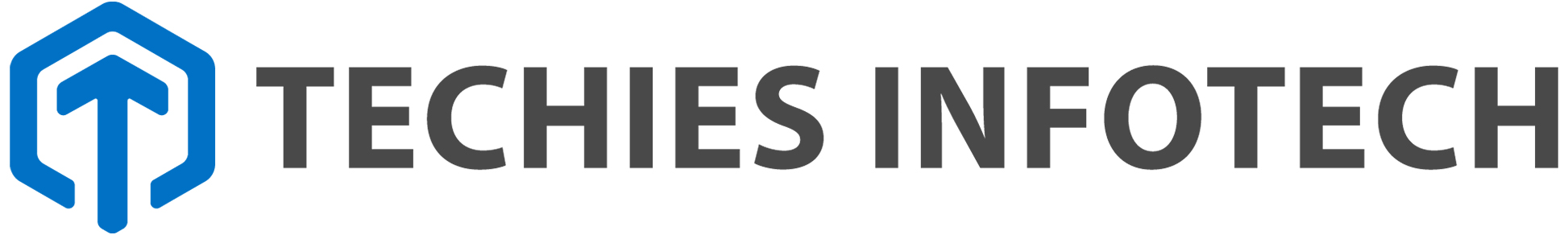 Contact Techies Infotech for Expert Tech Solutions & Support